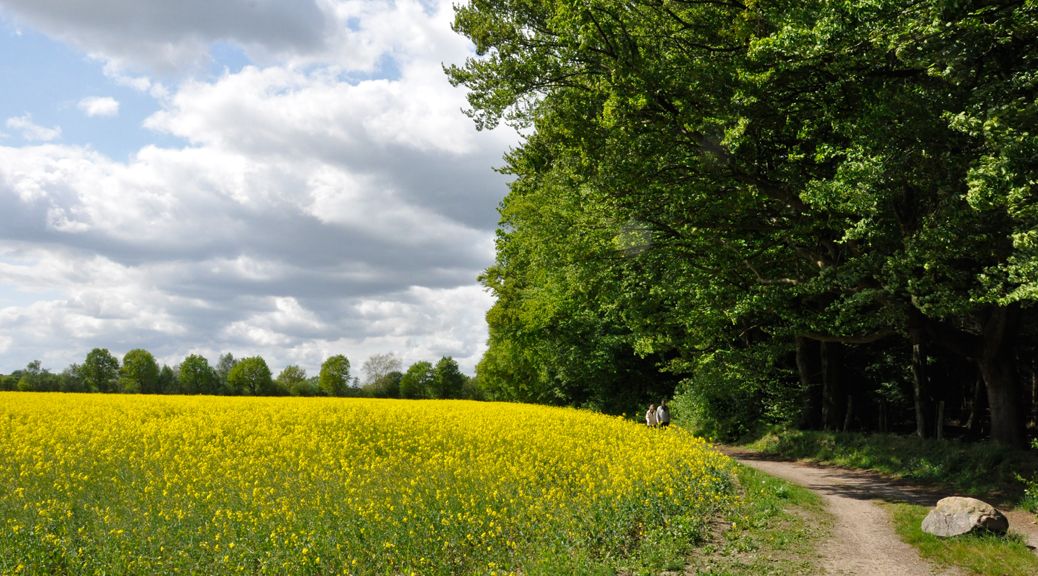 Entdeckerrouten im Sachsenwald