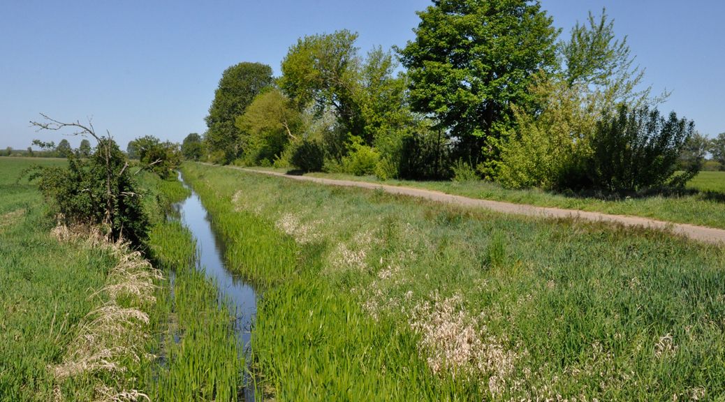 EntdeckerRouten in der Griesen Gegend : Typisch Griese Gegend